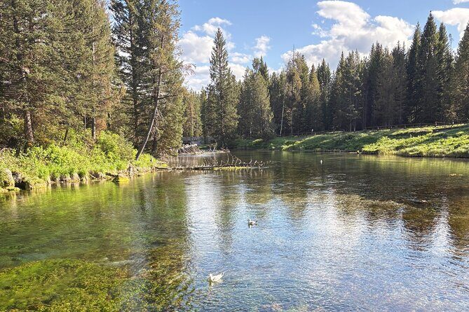 Guided ATV Tours and Explore Hidden Gems in the Yellowstone area - Exploring the Hidden Beauty of Yellowstone by ATV