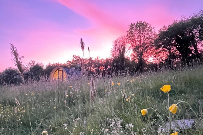 Guided Bike Ride: Exploring the Limerick Greenway - The Sum Up: Is This Tour Right for You?