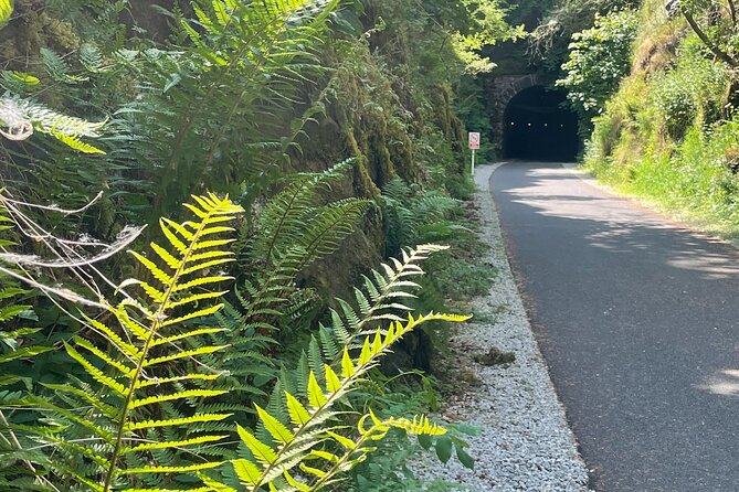 Guided Bike Ride: Exploring the Limerick Greenway - FAQ