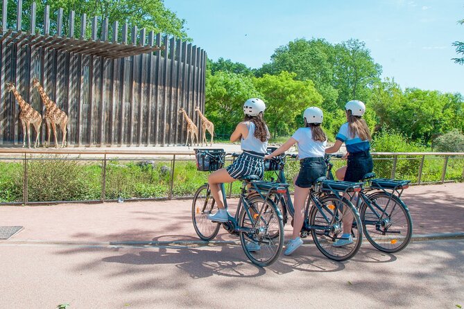 Guided Bike Tour - 2h Heading to Tête Dor Park - Customer Reviews and Experiences