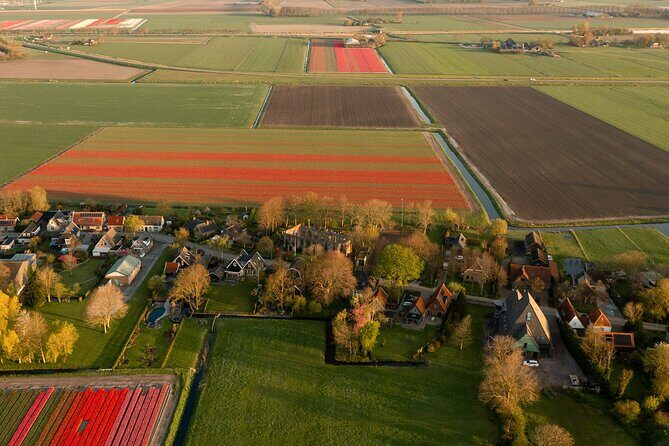 Guided Bike Tour along the Dutch Tulip Fields in Noord Holland - What Travelers Say
