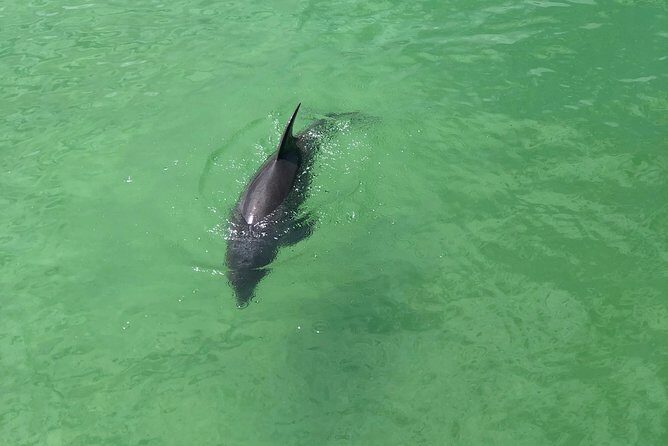 Guided Bike Tour - Downtown Naples Florida - What to Expect from the Naples Guided Bike Tour