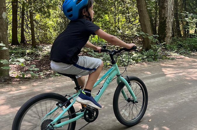 Guided Bike Tour of Mackinac Island with Scenic Views - Frequently Asked Questions (FAQs)