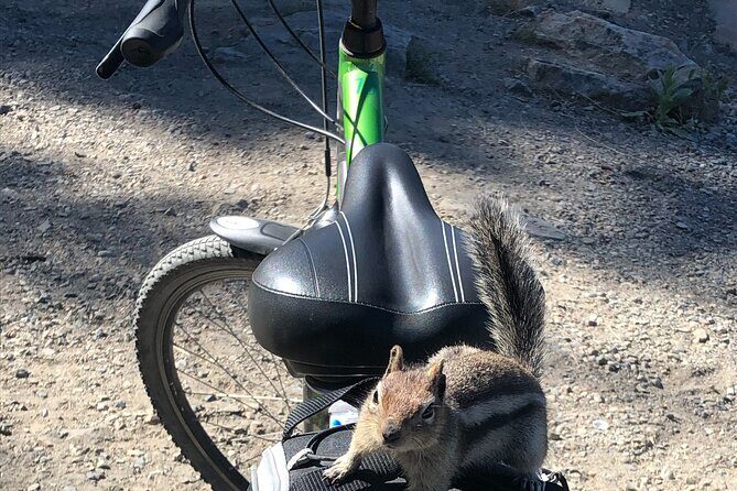 Guided Bike Tour on Historical Kettle Valley Railway at Myra Canyon & Wine Tour - Practical Considerations & Tips