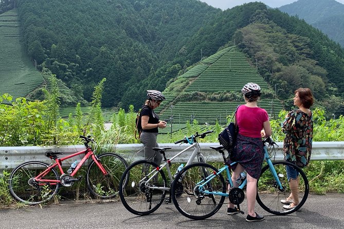 Guided Bike Tour to a Green Tea Farm in Shizuoka (Not E-Bikes) - Health and Accessibility
