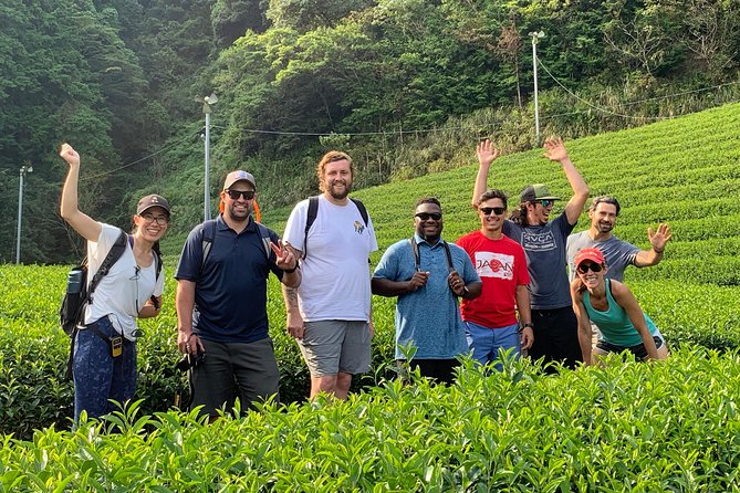 Guided Bike Tour to a Green Tea Farm in Shizuoka (Not E-Bikes) - Pricing and Cancellation