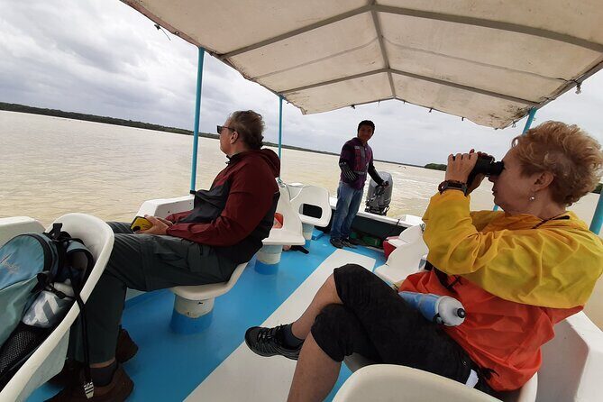 Guided Bird Watching Private Tour in Rio Lagartos from Tulum - What Reviewers Say (Based on Available Feedback)