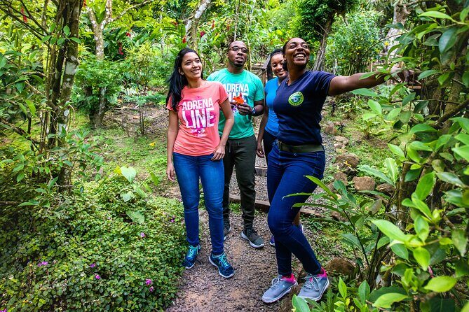 Guided Birdwatching Castries Waterworks Forest Reserve, St Lucia - Who Should Consider This Tour?