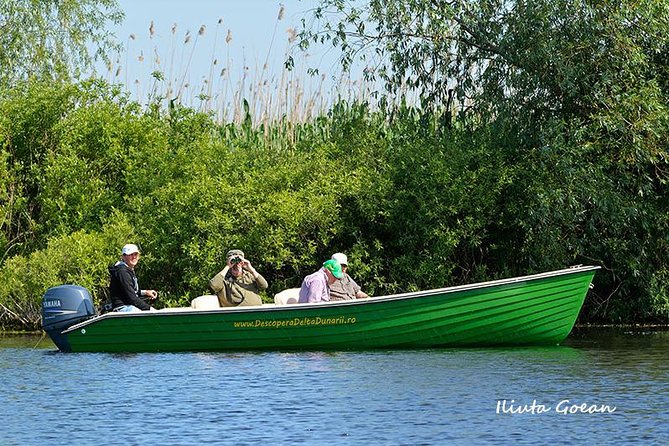 Guided Birdwatching Day Trip to the Danube Delta - Private Program - About Your Stay