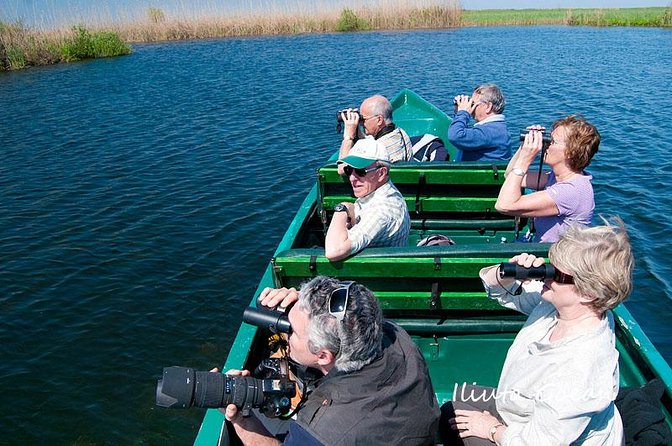 Guided Birdwatching Day Trip to the Danube Delta - Private Program - The Birds of the Delta: Species You Might Encounter