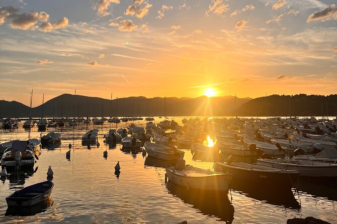 Guided Boat Tour of the Gulf of Poets - Discovering Tellaro: One of Italy’s Most Beautiful Villages