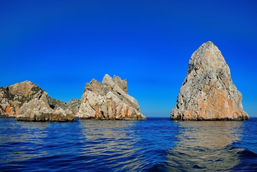 Guided Boat Tour to Medes Islands & Roca Foradada with Swim - The Sum Up