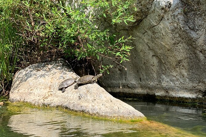 Guided Canyoning Adventure Near Marbella (Benahavís River Walk) - Preparing for the Adventure