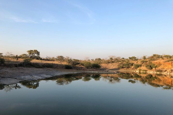 Guided Chittorgarh Fort Tour From Jaipur With Drop At Udaipur - Who Should Consider This Tour?