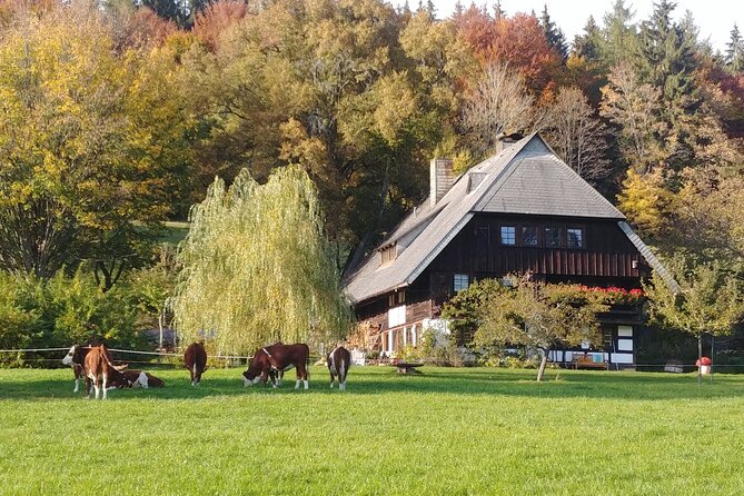 Guided cider tasting - Who Should Consider This Tour?