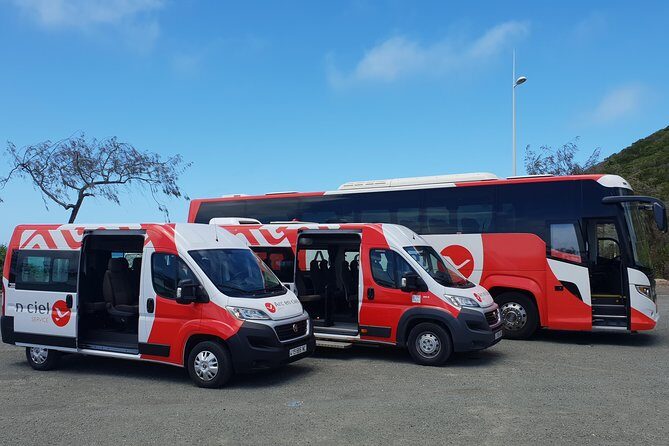 Guided City Orientation Tour of Noumea - Who Will Love This Tour?