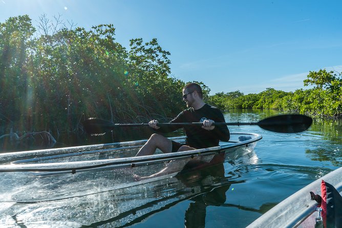 Guided Clear Kayak Eco-Tour Near Key West - The Sum Up