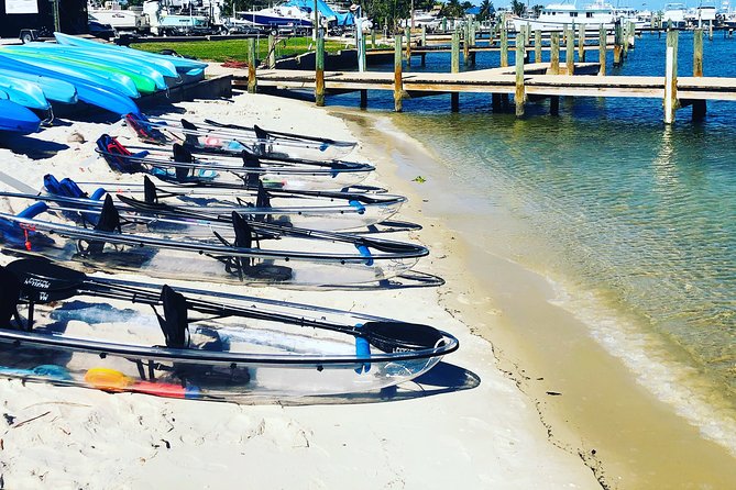 Guided Clear Kayak Eco-Tour of Jupiter - FAQs