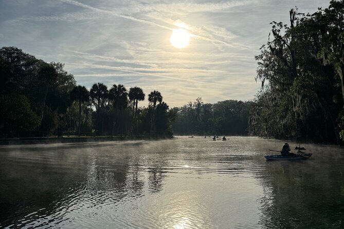 Guided Clear Kayak Tours on the Silver River - An In-Depth Look at Guided Kayak Adventures on the Silver River