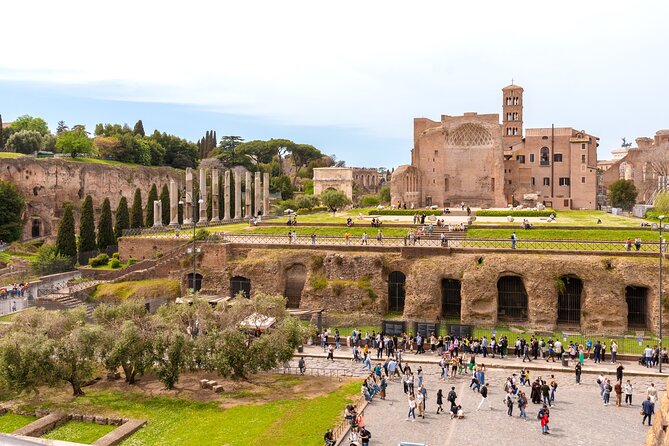 Guided Colosseum Tour With Roman Forum & Palatine Hill - Highlights of the Tour Experience