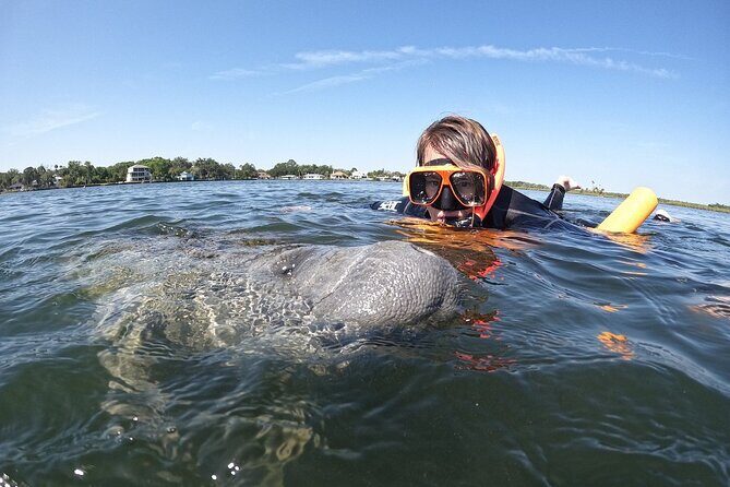 Guided Crystal River Manatee Snorkeling Tour - FAQ