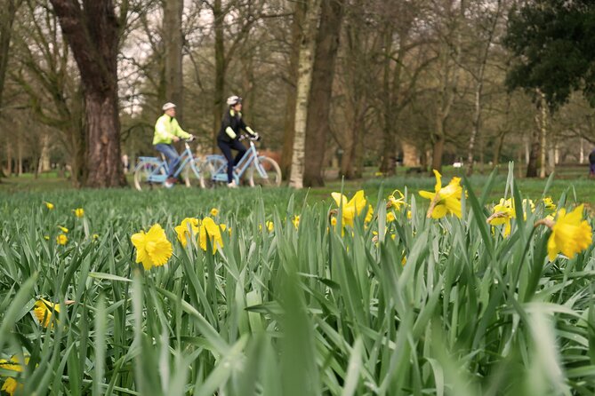 Guided Cycle Tours of Cardiff - Navigating the Urban Bike Lanes and Nature Reserves
