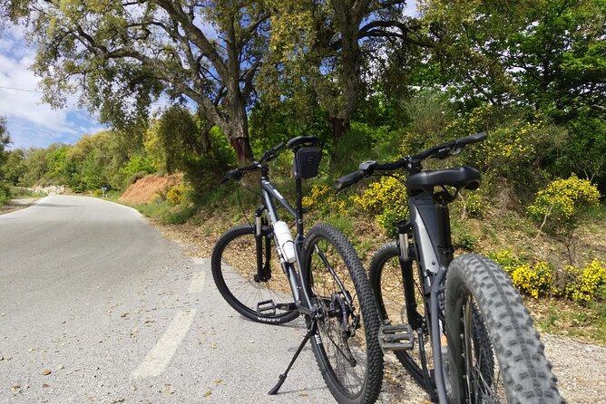 Guided Cycling - Blue Village Ronda - Moderate Level Difficulty - Who Should Consider This Tour?