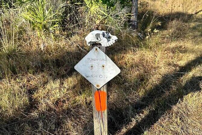 Guided Day Hike Through Florida's wild Backcountry. - Introduction: An Authentic Florida Backcountry Adventure