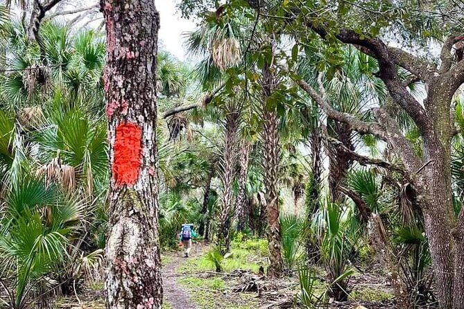 Guided Day Hike Through Florida's wild Backcountry. - What Makes This Tour Special for Travelers