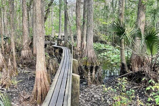Guided Day Hike Through Florida's wild Backcountry. - The Sum Up: Is This Tour Right for You?