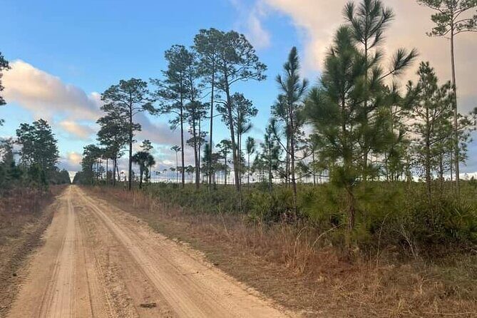 Guided Day Hike Through Florida's wild Backcountry. - FAQ: Your Practical Questions Answered