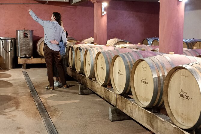 Guided Day Tour and Wine Tasting Northern Rhône Valley - Since You Asked