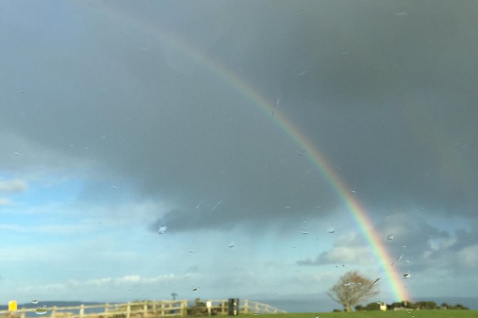 Guided Day Tour of Giant's Causeway from Belfast by Comfortable Coach - Who This Tour Is Best For