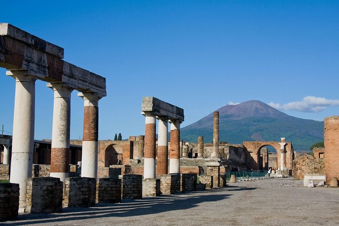 Guided Day Tour of Pompeii and Herculaneum with Light Lunch - What Travelers Say