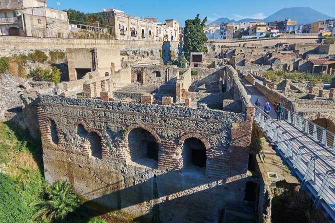 Guided Day Tour of Pompeii and Herculaneum with Light Lunch - Who Should Book This Tour?