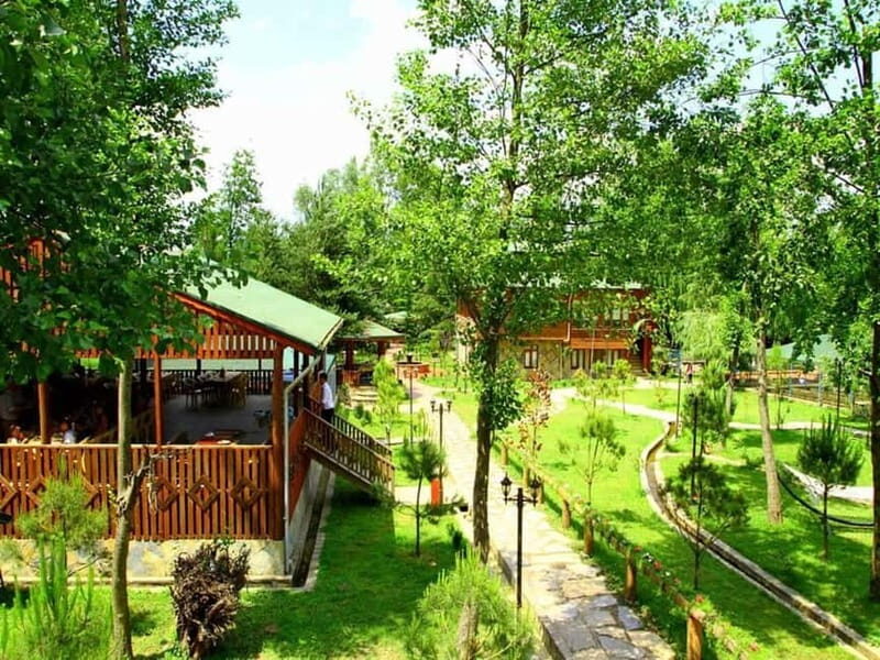 Guided Day Trip to Sapanca and Masukiye From Istanbul - Analyzing the Value