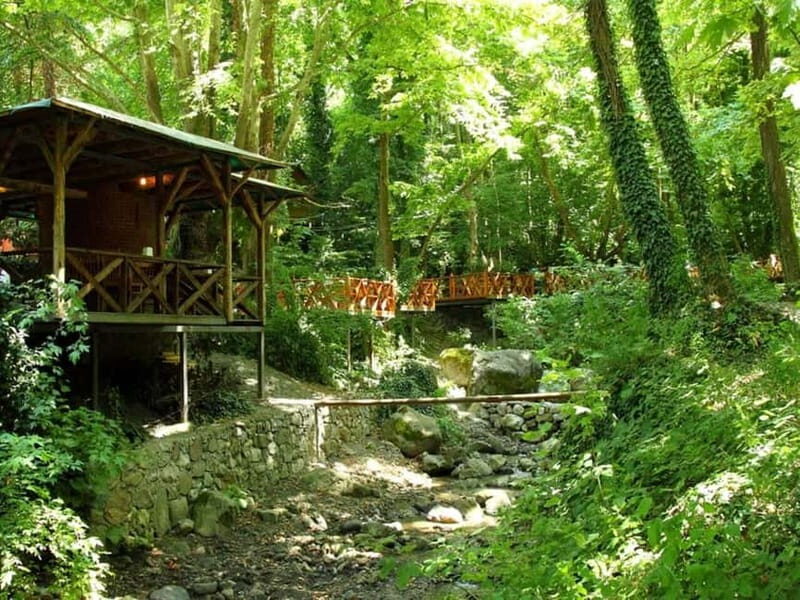 Guided Day Trip to Sapanca and Masukiye From Istanbul - Final Thoughts