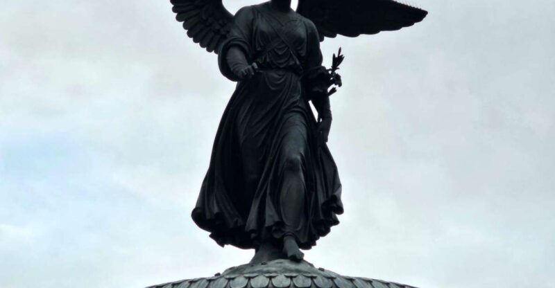 Guided Deluxe Pedicab Tour in Central Park - Who Is This Tour Best For?