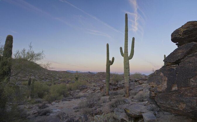 Guided Desert Sunrise or Evening/Sunset 2-Hour Hike at South Mtn - Exploring the Itinerary in Detail