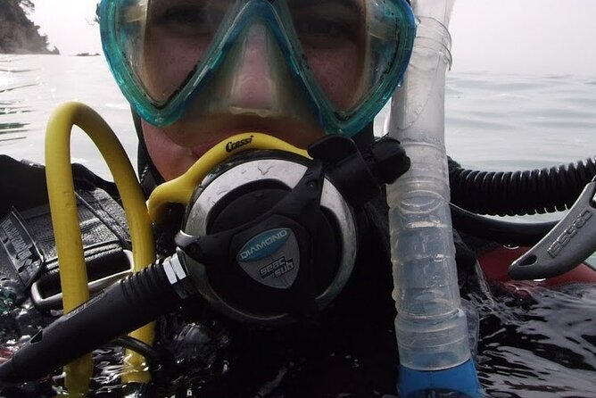Guided dive for certified divers - Exploring the Guided Dive for Certified Divers in Brindisi