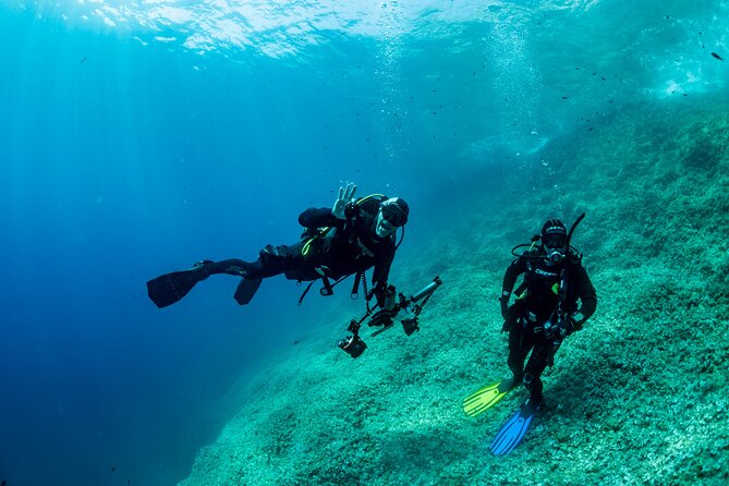 Guided Diving for Beginners Without Certification From Sorrento - Booking Your Dive: Pricing and Options