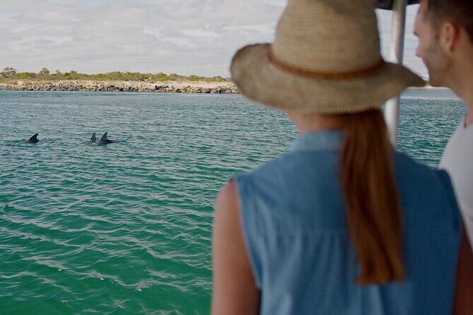 Guided Dolphin Eco-Cruise in Koombana Bay - Introduction: What This Dolphin Eco-Cruise Offers