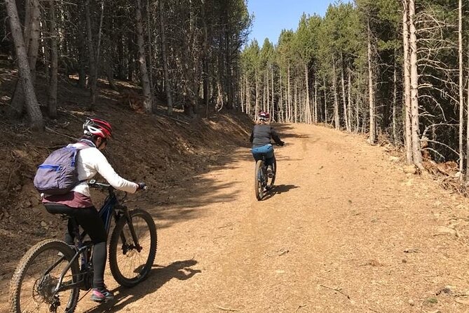 Guided E-Bike Excursion to the Artiga de Lin - The Sum Up