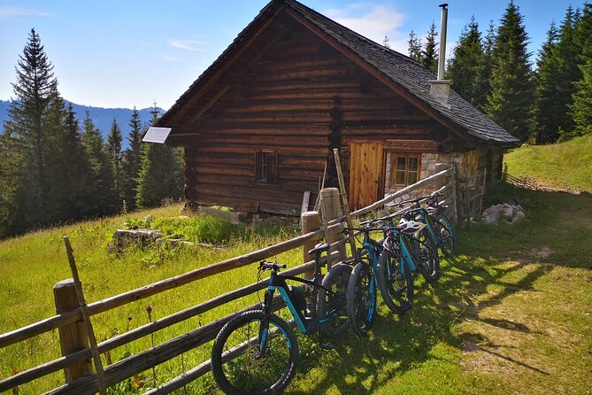 Guided E-Bike Tour of the Alpine Pastures in the Salzkammergut - The Guided Tour Experience
