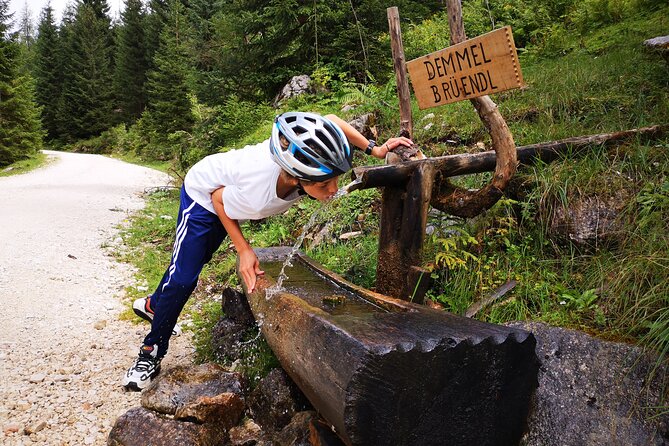 Guided E-Bike Tour of the Alpine Pastures in the Salzkammergut - Navigating the Alpine Pastures