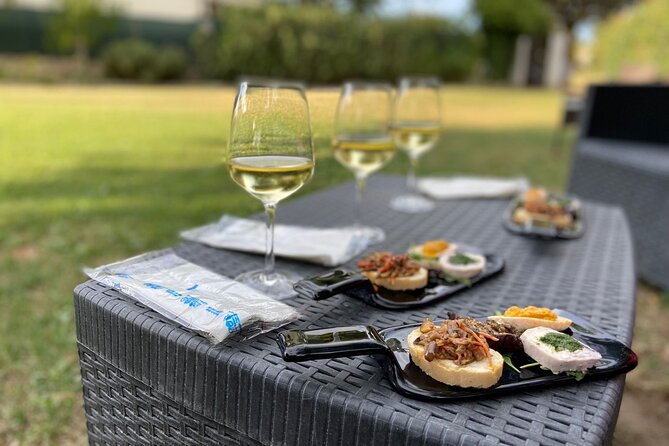 Guided E-Bike tour with food and wine tasting. - Key Points