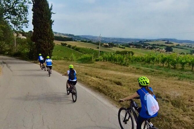 Guided E-Bike tour with food and wine tasting. - Practical Details and Logistics