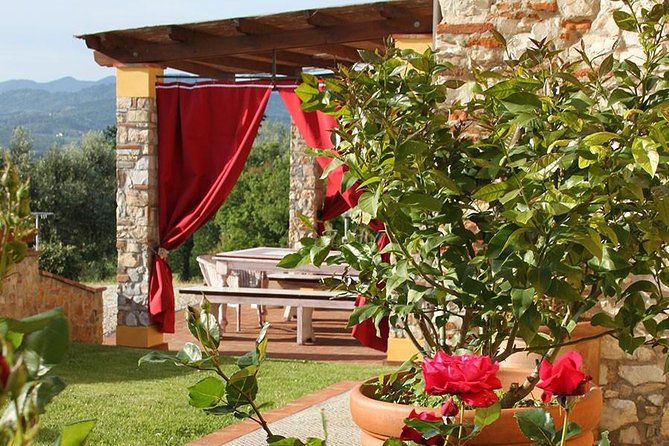 Guided E-Bike Tour With Wine Tasting From Lucca - Meeting and Pickup