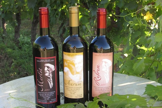 Guided E-Bike Tour With Wine Tasting From Lucca - Exploring Luccas Historic City Walls