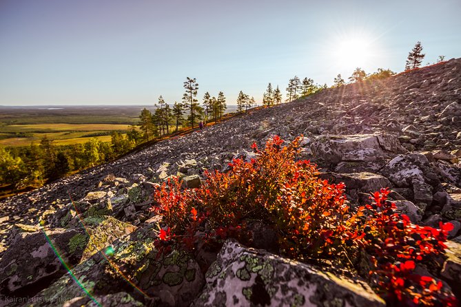 Guided easy hike in Finland deepest gorge in Pyhä-Luosto National Park - The Itinerary in Detail